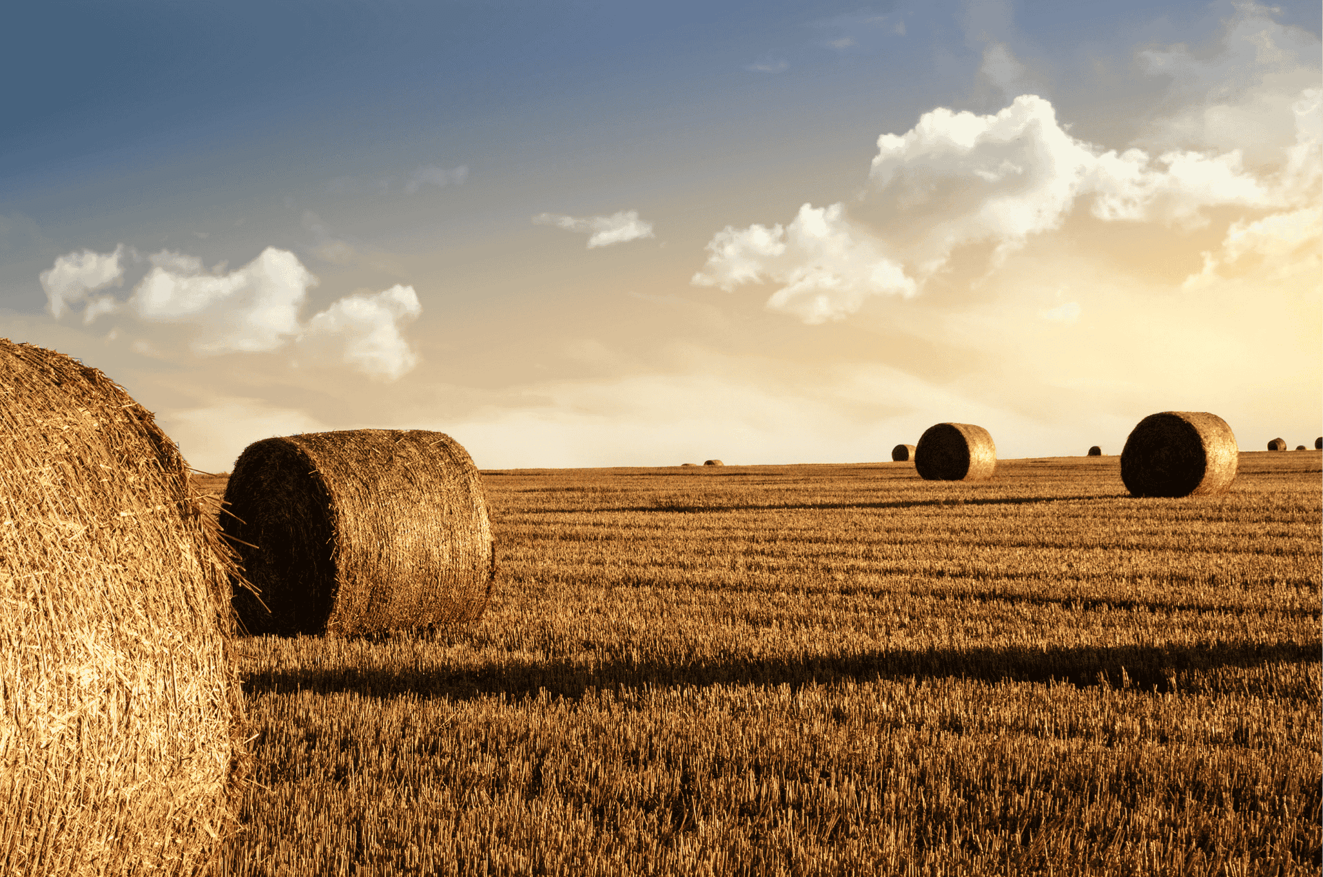 SRAC – Accredited ISO Certification Body in Romania